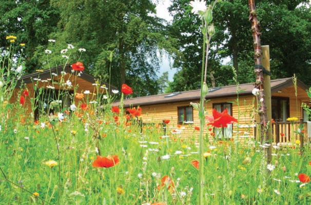 Village Life at Sandy Balls | Holiday Park Scene Magazine